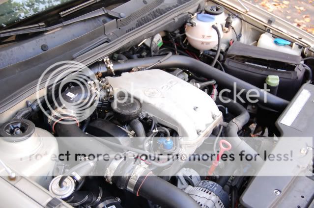 95 Jetta 2.0t | VW Vortex - Volkswagen Forum