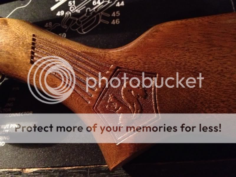 are squirrel stocks rare | Rimfire Central Firearm Forum