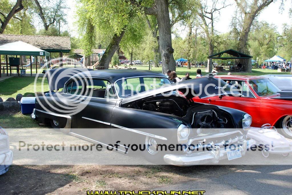 Skelvis | The H.A.M.B.